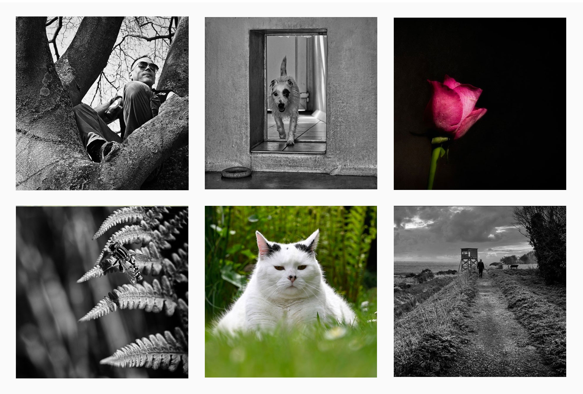 30 Days of Composition | Design By Jo