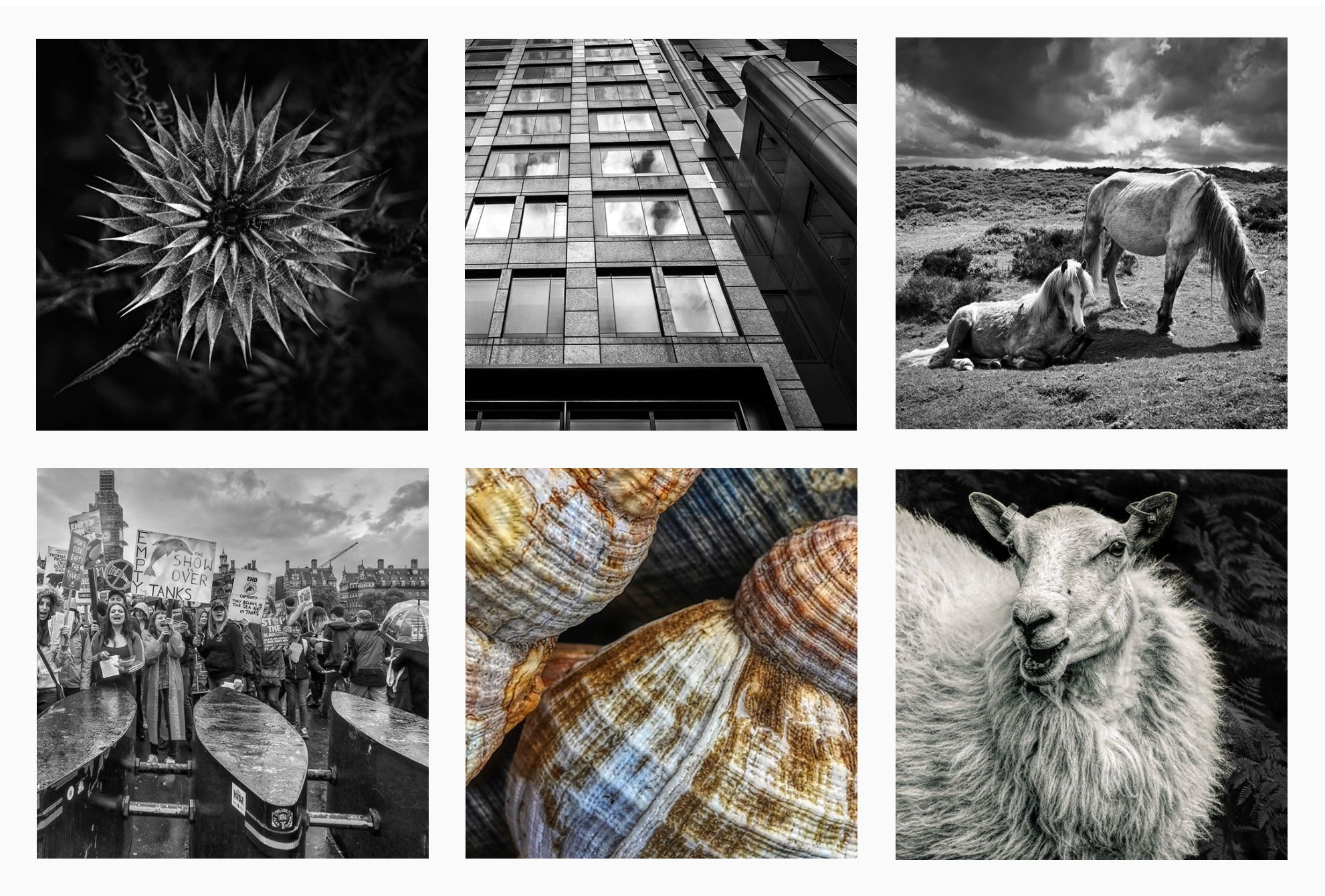 30 Days of Composition | Design By Jo